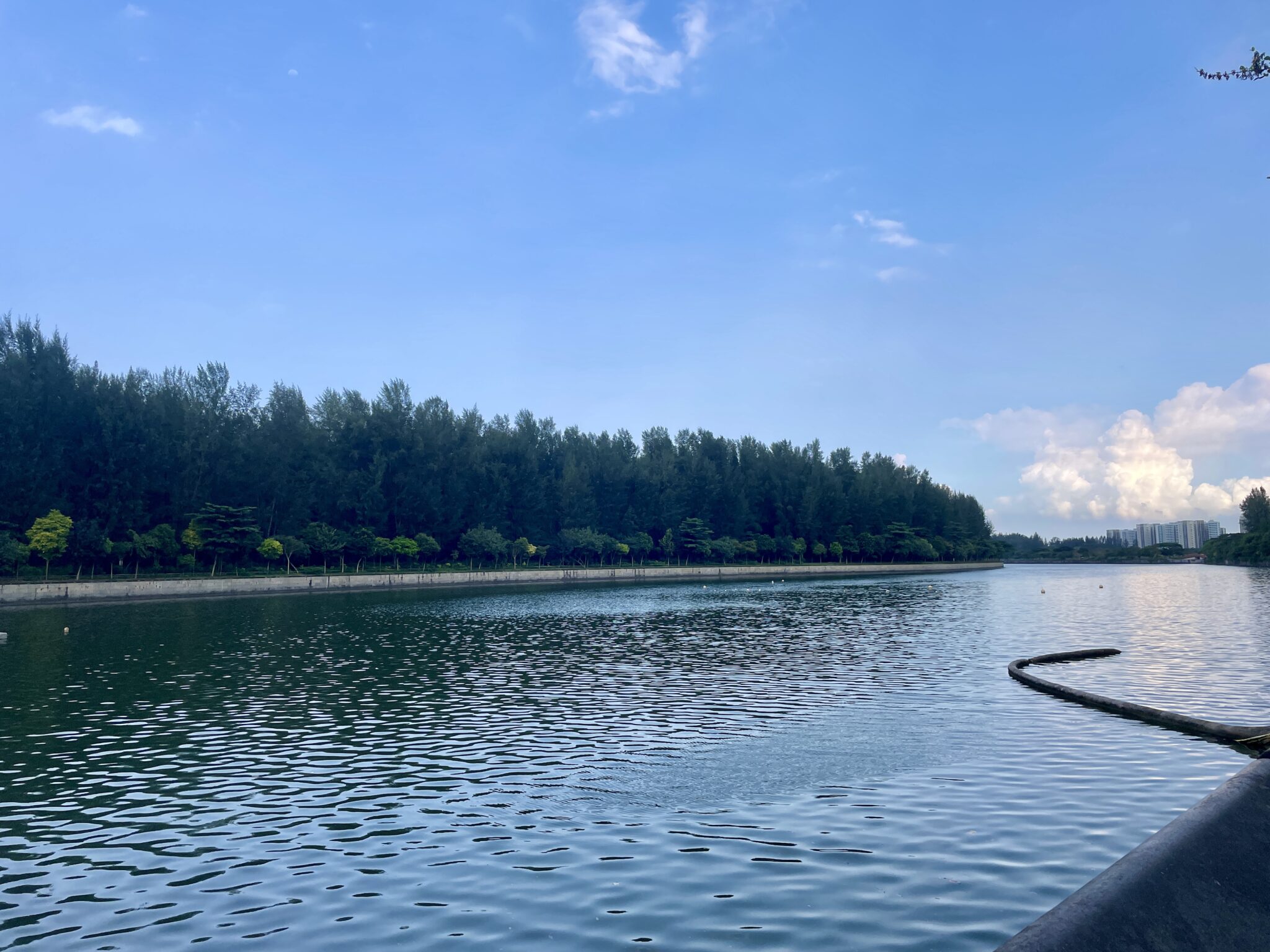 Home - Punggol Town