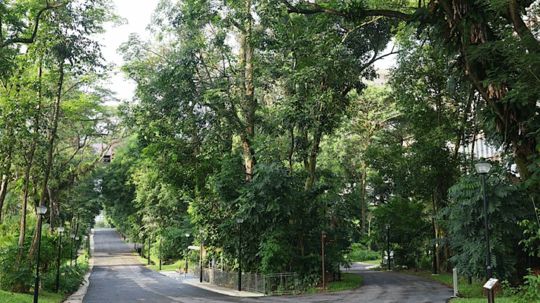 Home - Punggol Town